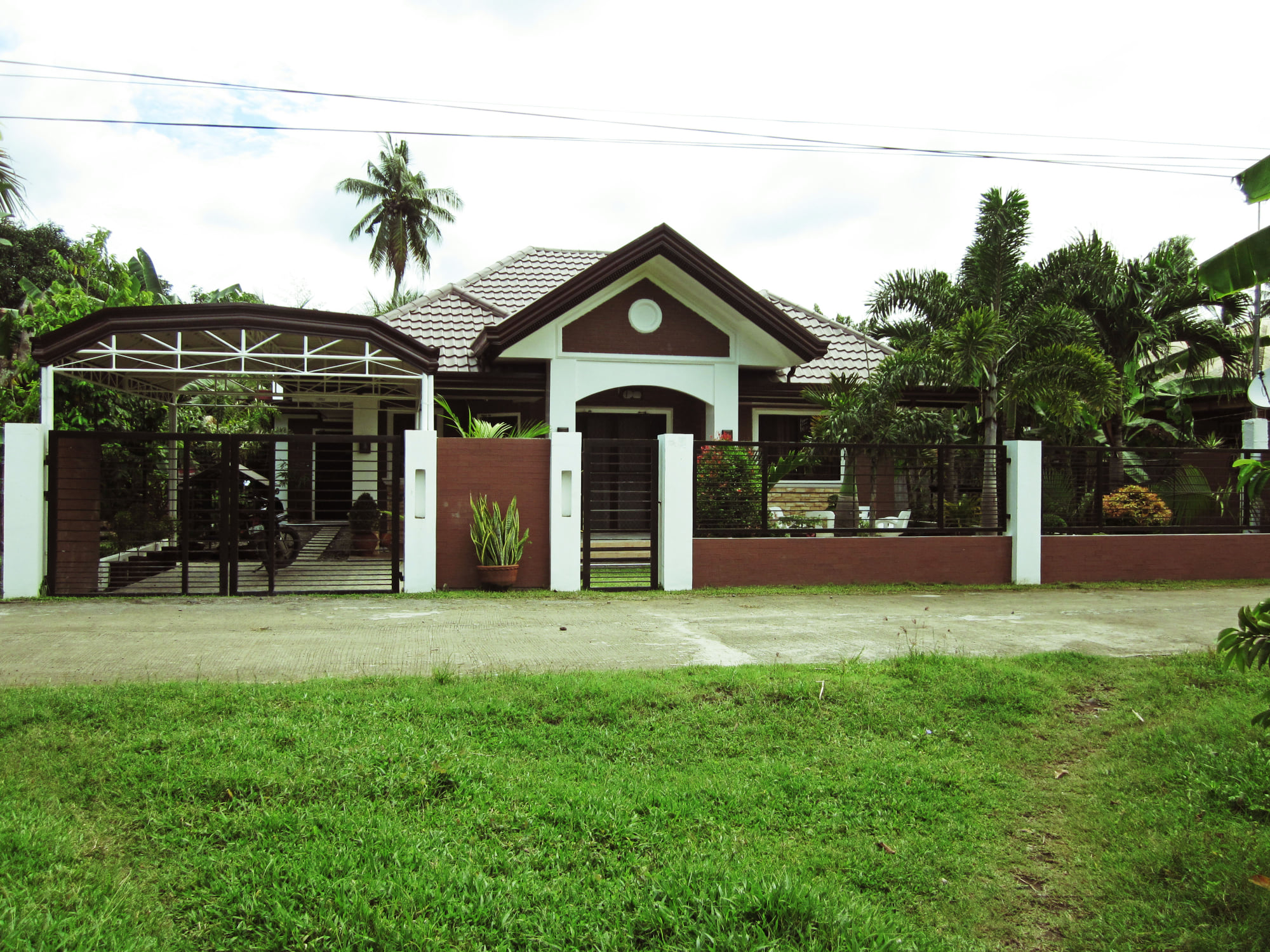 Photos