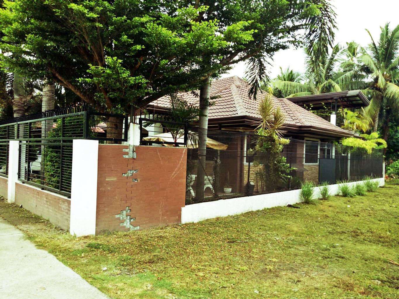 Photos
