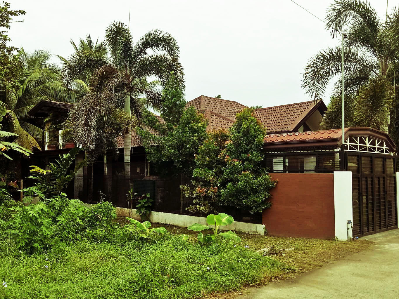 Photos